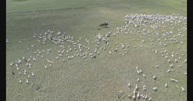 Оренбургские просторы: Исследуем степную столицу