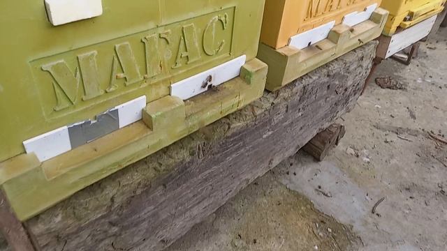 Делаем осматр пчел в феврале месяце. Матки начали засевать рамки, производим оброботку от клеща.