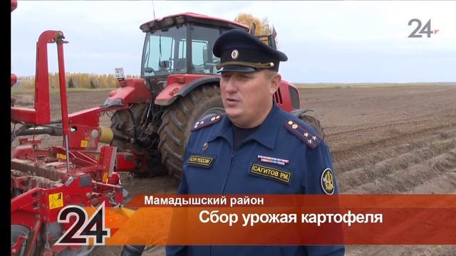 15.10.2022.Татарстан-24.Новости Татарстана.Сбор урожая картофеля в КП-17.