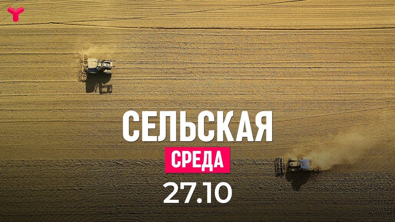 Сельская среда 27.10.2021