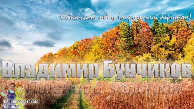 Владимир Бунчиков - Пшеница золотая