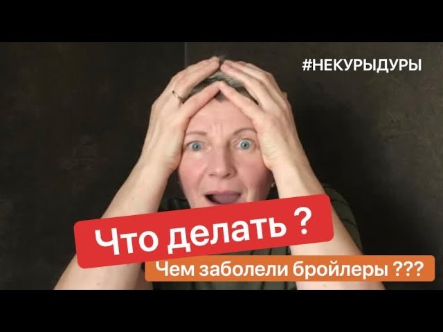 Что делать? Чем болеют цыплята бройлеров. Болезнь цыплят.