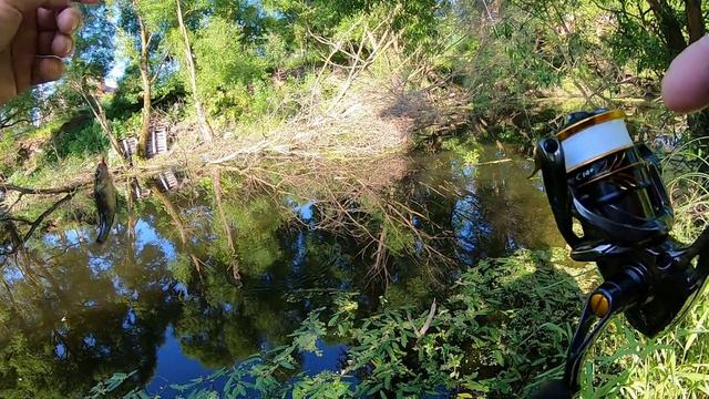 Мормышинг. Пруд в деревне Городище, разведка