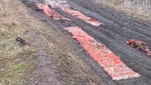 Начала отсыпать дорогу