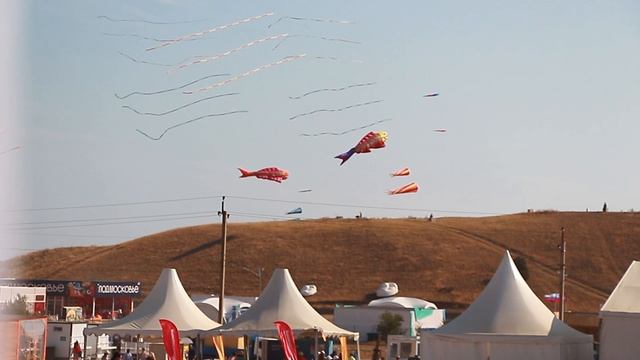 19.08.2022 В Крыму фестиваль «Таврида.АРТ» прошёл без происшествий