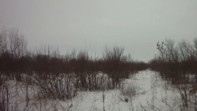 (ВСЯКОЕ БЫВАЕТ). ОХОТА НА ЗАЙЦА (декабрь) 2016.Hunting 2016 for fur-bearin.mp4