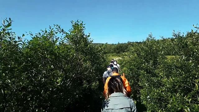 VERRA TRAVEL_Басеги, июль 2019.mp4