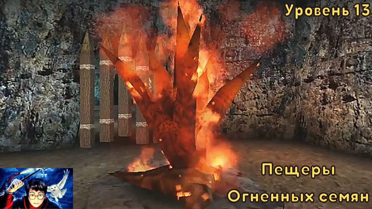 Harry Potter And The Philosopher's Stone - Уровень 13 - Пещеры Огненных семян