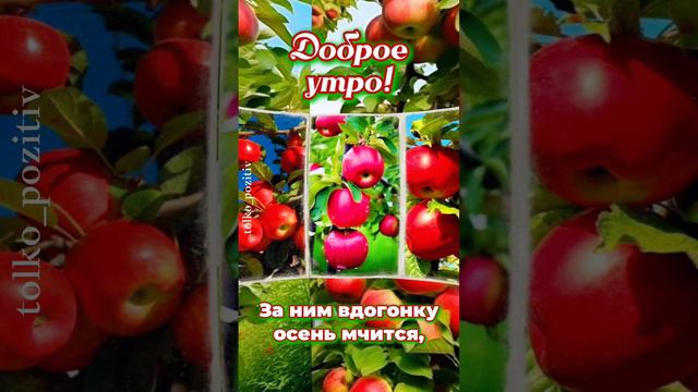 С добрым утром! С Яблочным Спасом!