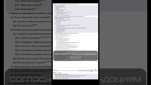 Зачем ЭХО собаке с кашлем? | Легочная гипертензия у собаки
