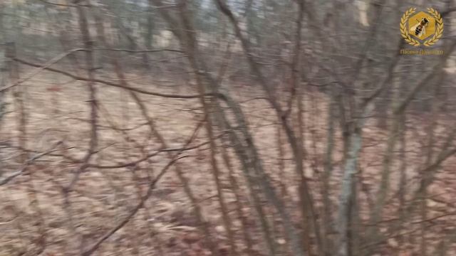 Зимний пыльценос, начинаем стимуляцию