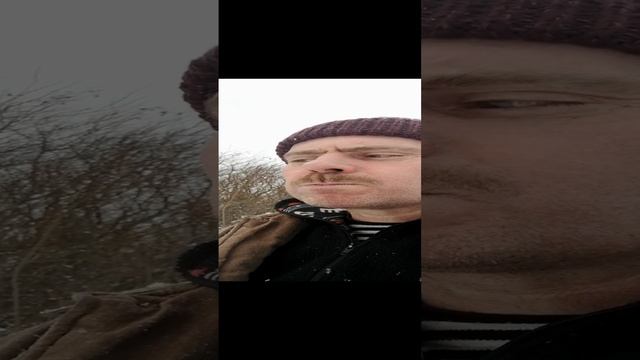 Шарики Зайца или Куриные Кубики? Кто за?