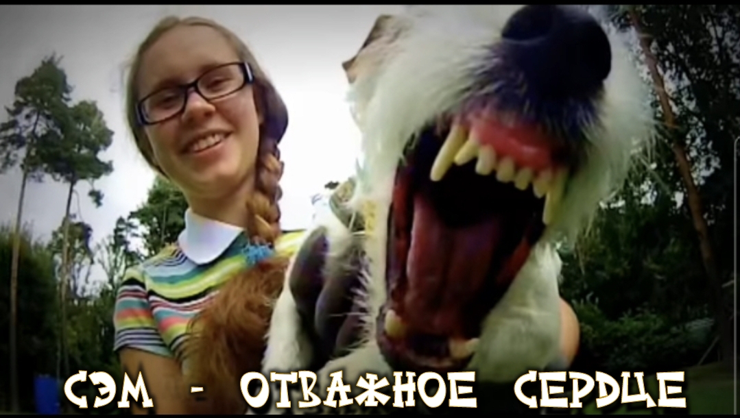 Сэм - отважное сердце