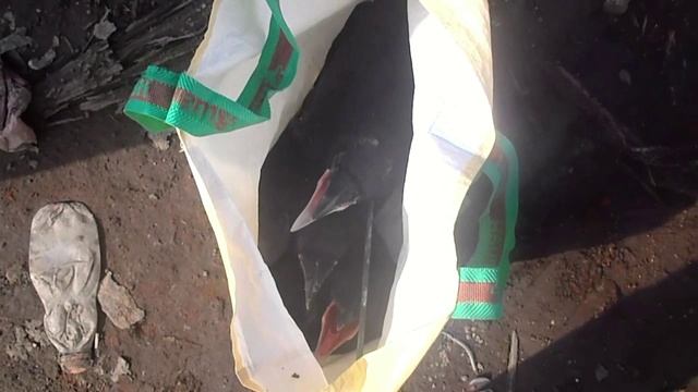 Спасение птенцов при демонтаже дымовой кирпичной трубе