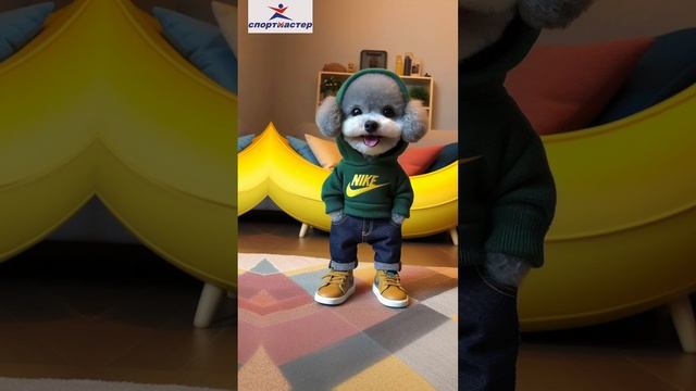 Собакен 2024, часть 5