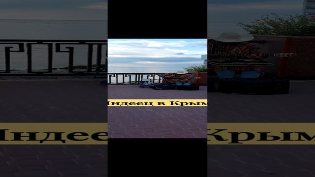 Феодосия. Уличный музыкант.