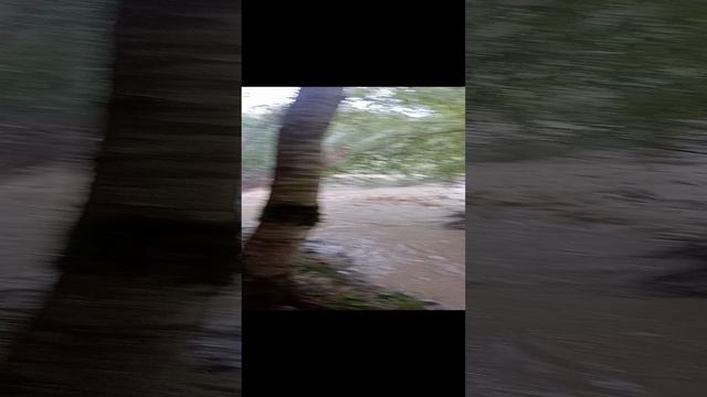 АБХАЗИЯ АПСНЫ СТРАНА ДУШИ ЦАНДРИПШ ЦАНДРЫПШ КАНЬОН ГОРНАЯ РЕКА У РЕКИ ЛЕТО ОТПУСК ОТДЫХ ЧЕРНОЕ МОРЕ