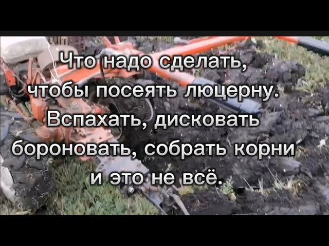 Вспахал люцерну, дисковал, бороновал, сейчас собираю корни, а это ещё не всё...