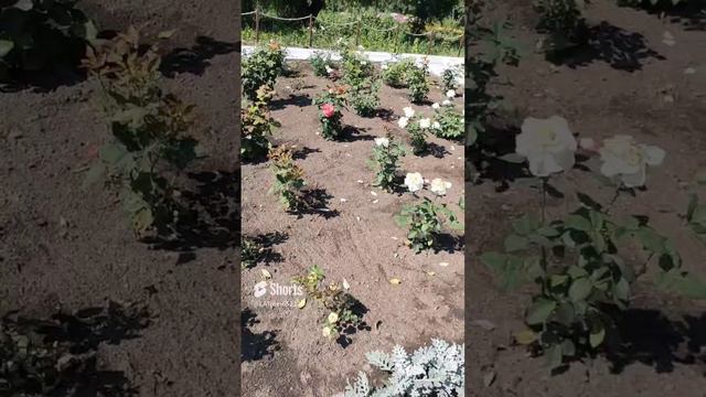 Доброго времени суток, добрые люди (2)