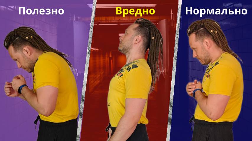 Что такое правильная осанка. Зачем нужна правильная осанка. Исследования, факты, мнения экспертов.