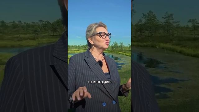 Риэлтор в 1703 году