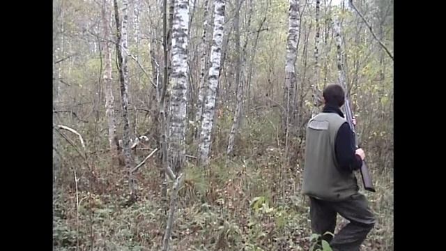 "Осенний марафон (охота на вальдшнепа под Санкт-Петербургом".Видеоприложение №23 часть 2