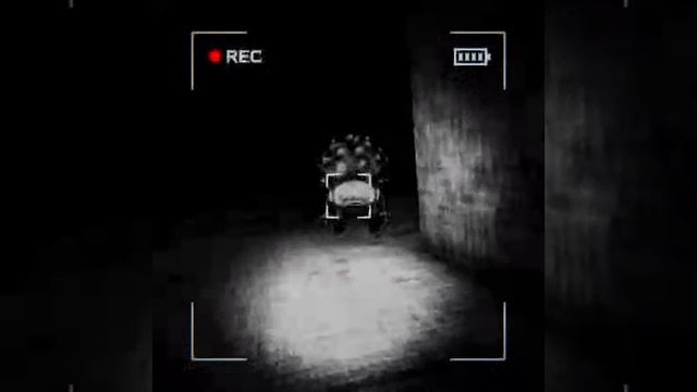 Пес пулеметчик (Content Warning)