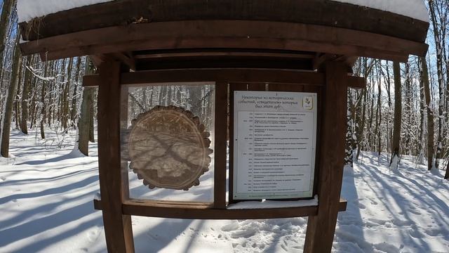 Санкт Петербург  Дудергоф Нагорный парк Зима 2023