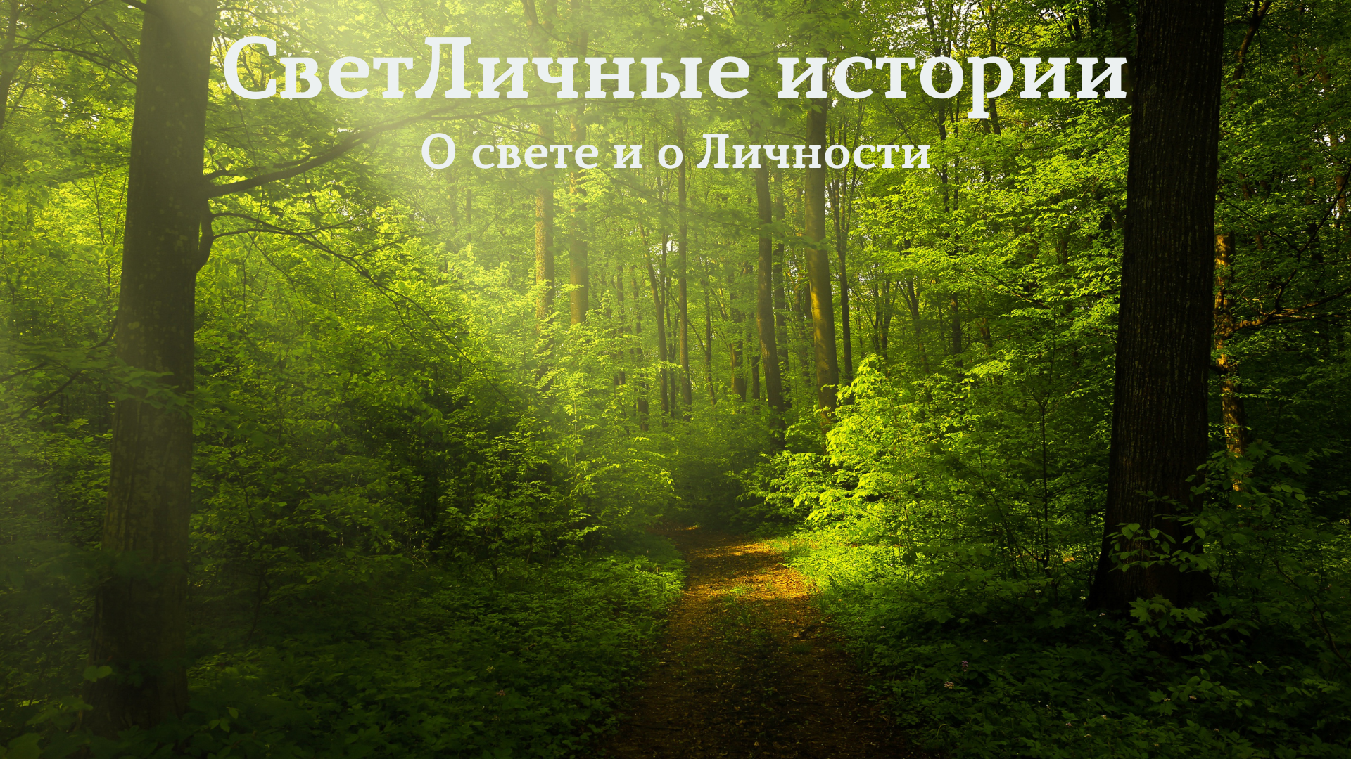 Можно ли выращивать информацию