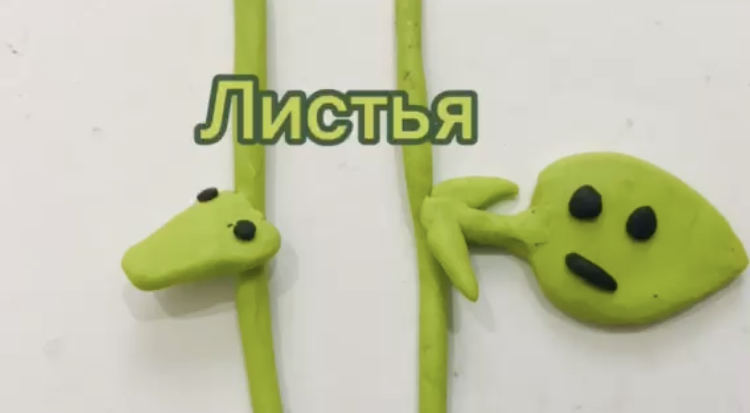 Виды листьев. Биология.