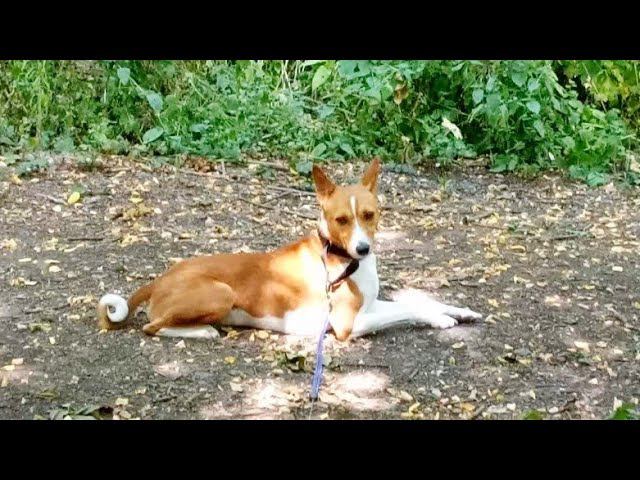 Уж небо осенью дышало... Красивое. Созерцательное. | Лео & Джоли