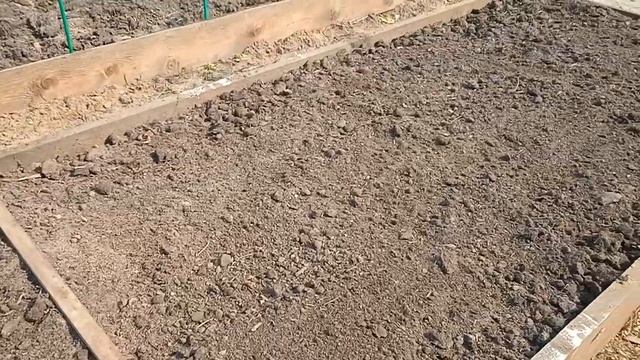 Посадка лука.mp4