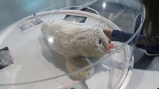 Look Level 2 School Trip 1 Video 3