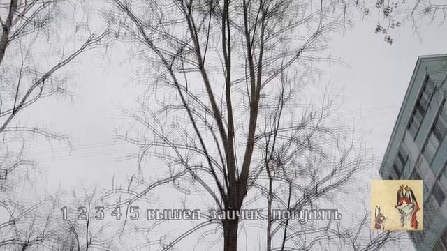 02 04 2022 Казань Погода Снегопад