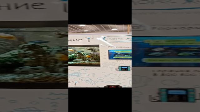 Колпино зима 2021-2022