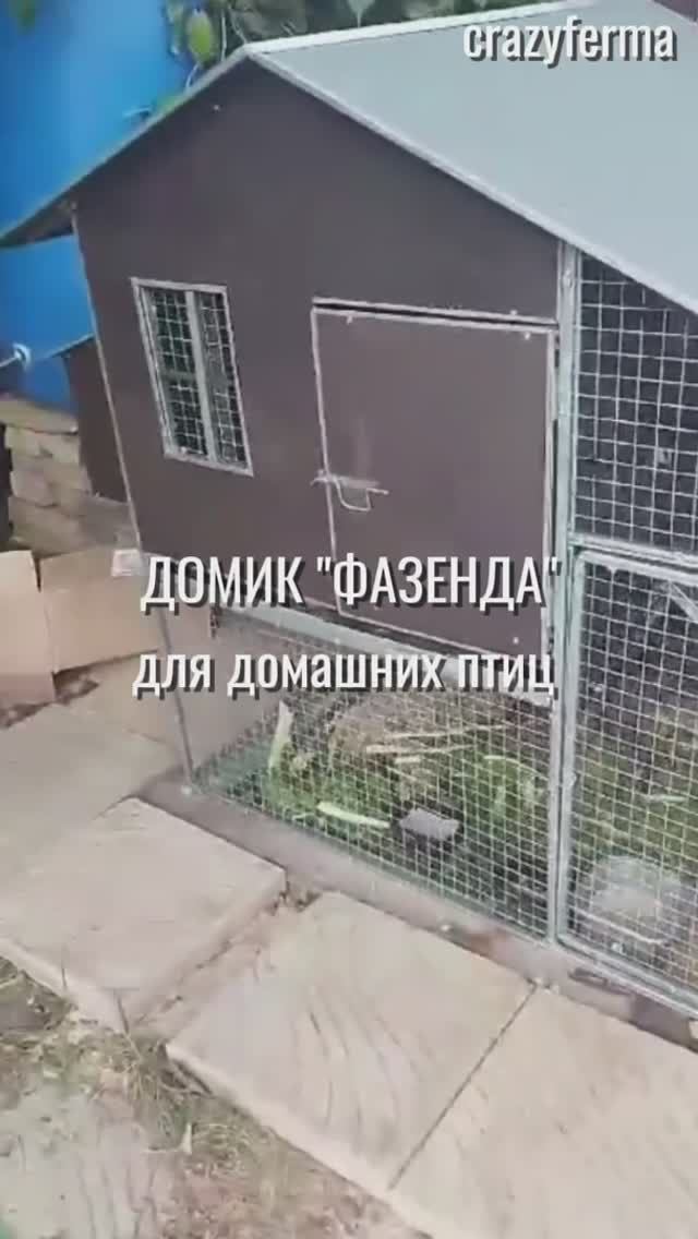 🦆Утки на даче — сплошная польза: угроза для вредителей, помёт как удобрение, много яиц и вкусное мя