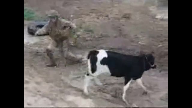 Американская армия