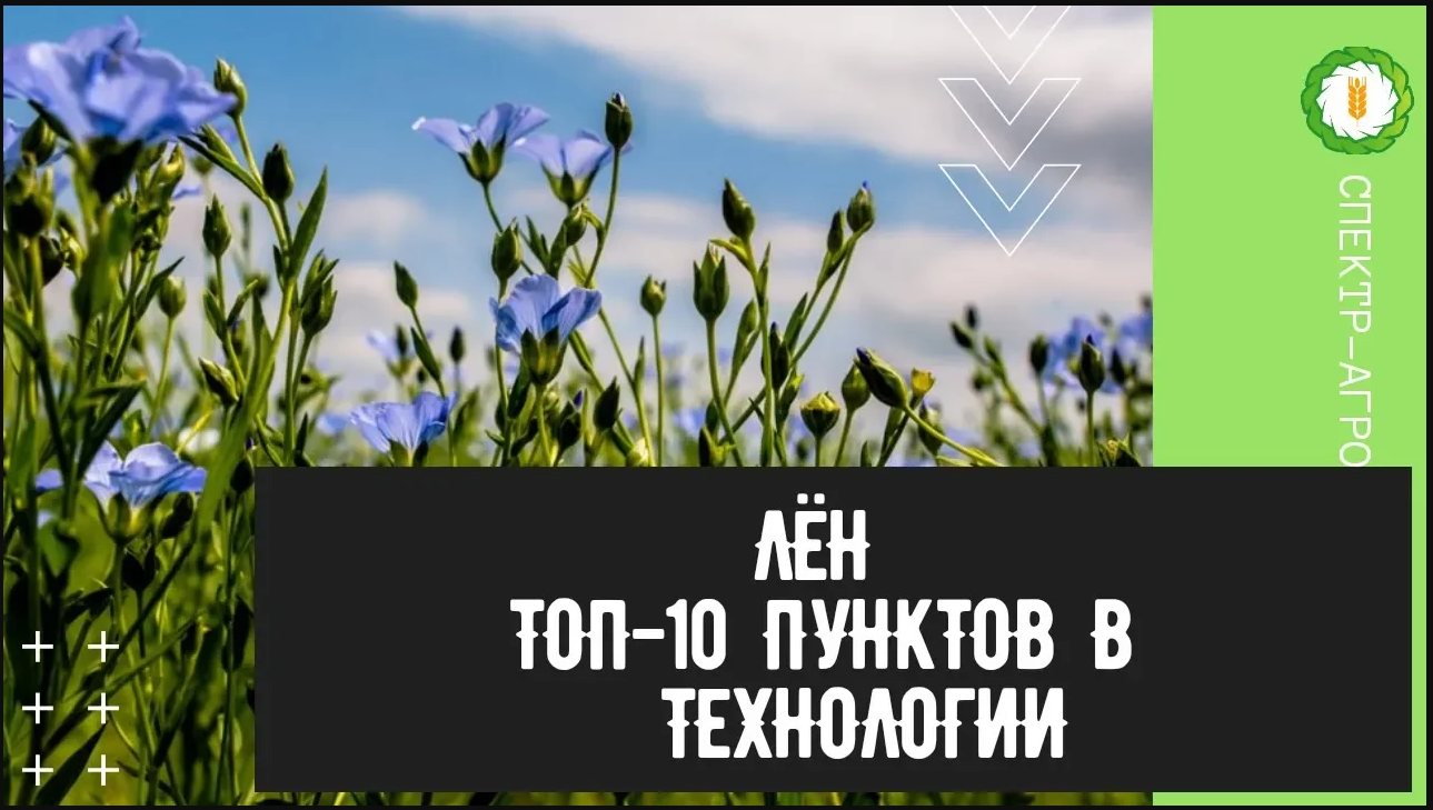 Лён. ТОП-10 пунктов в технологии выращивания льна