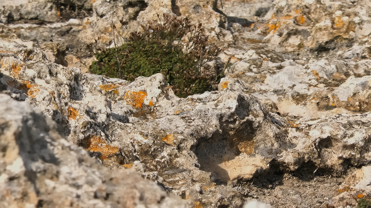 Камень берега