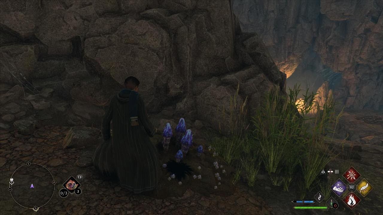 Хогвартс. Наследие #11