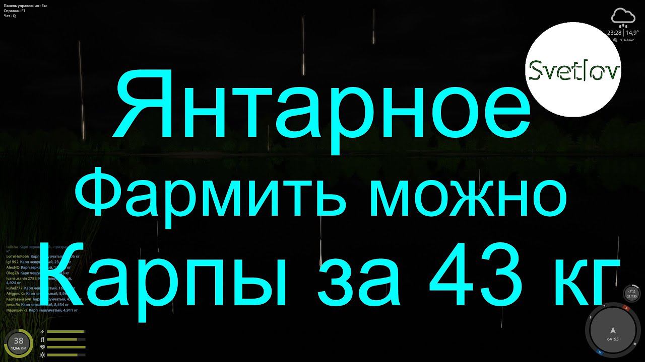 Янтарное озеро Фармить можно Карпы за 43 кг