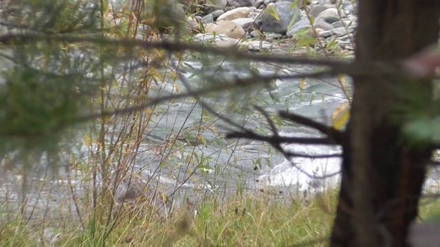 Горный Алтай 2020 3ч.