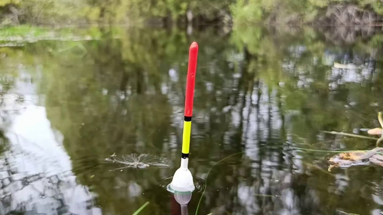 РЫБАЛКА НА ПОПЛАВОК В АВГУСТЕ