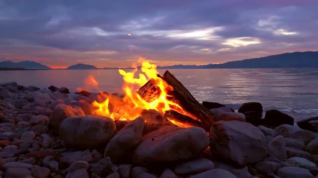 женское одиночество