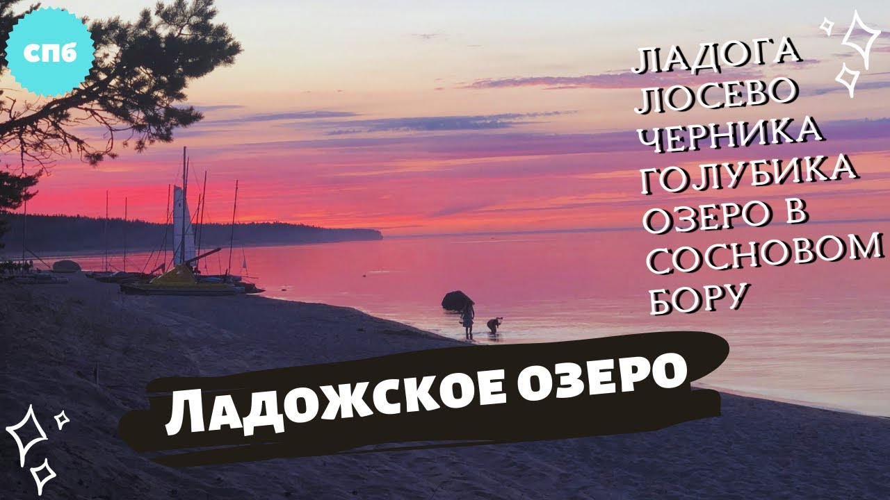 Превосходная природа Лен. области. Лосево. Ладожское озеро