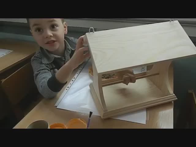 Экологическая акция. Поможем пернатым друзьям.