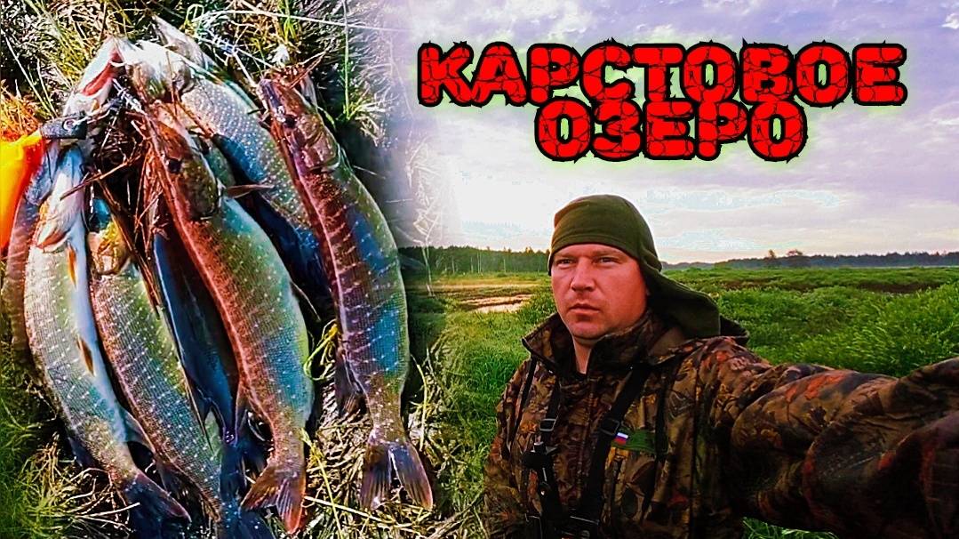 Ловля щуки в июле на спиннинг. Такое количество малька щуки я еще не видел. Карстовое озеро.