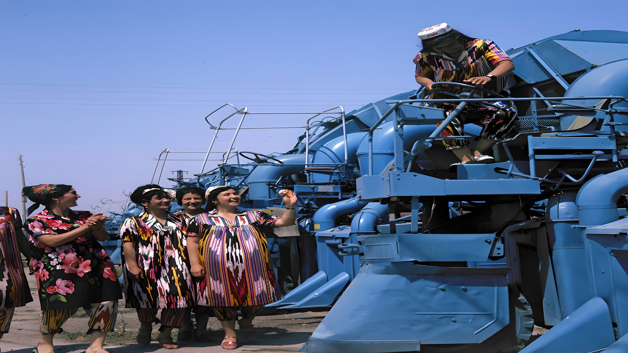 Владимир Алавердов ва Нуқра Раҳматова. Бадеҳаҳо - Нигори гулизорам, Сиёҳчашмак