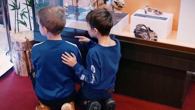 Ночь искусств в Вятском палеонтологическом 4 11 2022.mp4