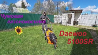 Газонокосилка Daewoo 5100SR (обзор).
